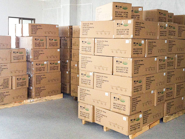 Professional About Us Pendant Lighting Manufacturers - Vigo Lighting