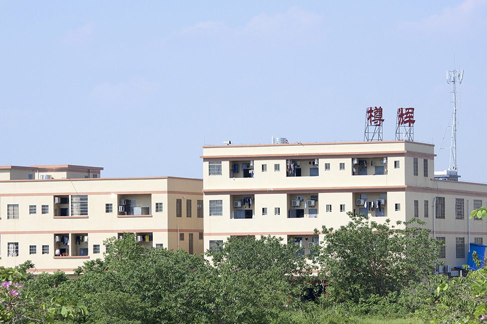 Manufacturer of Ceiling Lamp, Floor Lamp And Table Lamp | Vigo